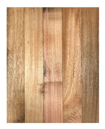 DOUSSIE' AFRICA NATURE LISTONCINO CLASSIC 12-14x70-75x300-600 mm